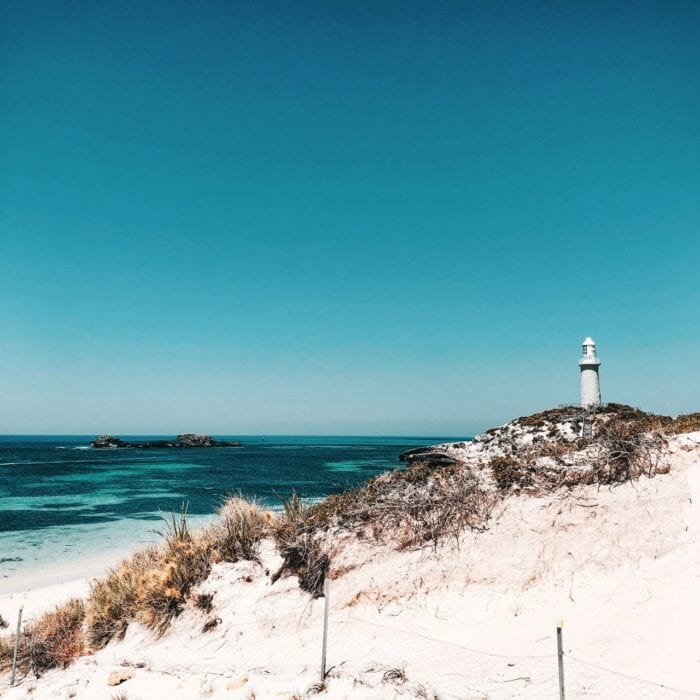 10 Amazing Things To Do On Rottnest Island - Wander & Luxe