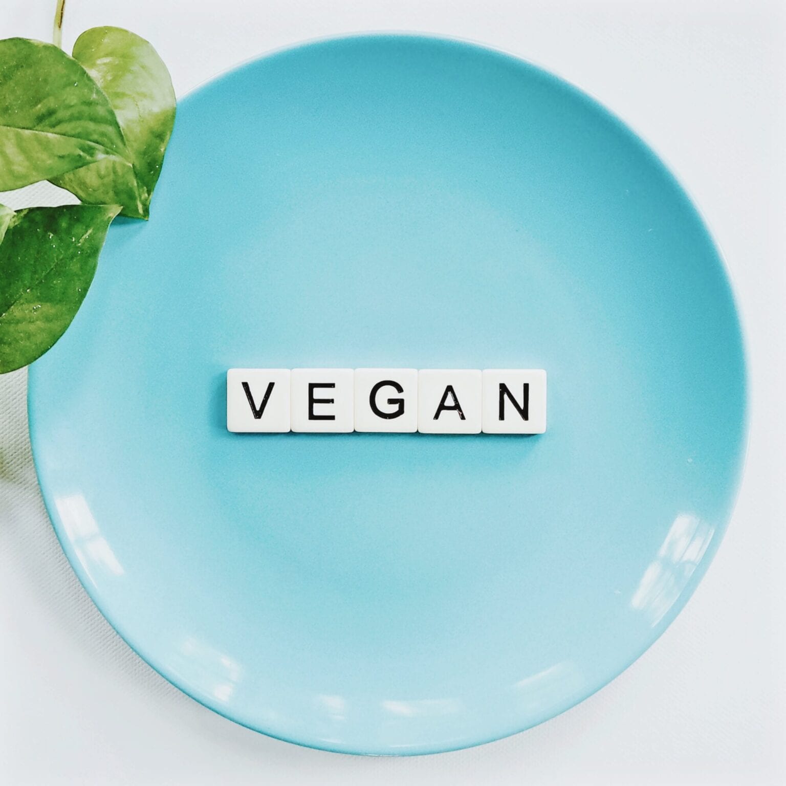 What Exactly is Vegan Skin Care? - Wander & Luxe