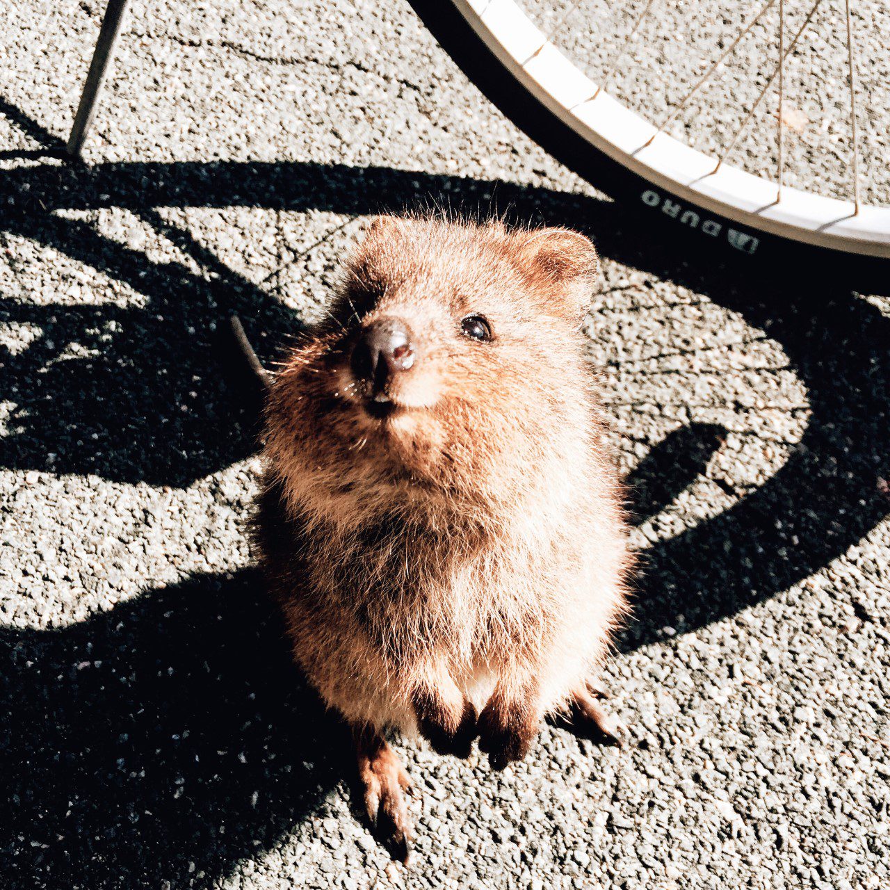 5 Things To Do in Sunny Perth! - Wander & Luxe