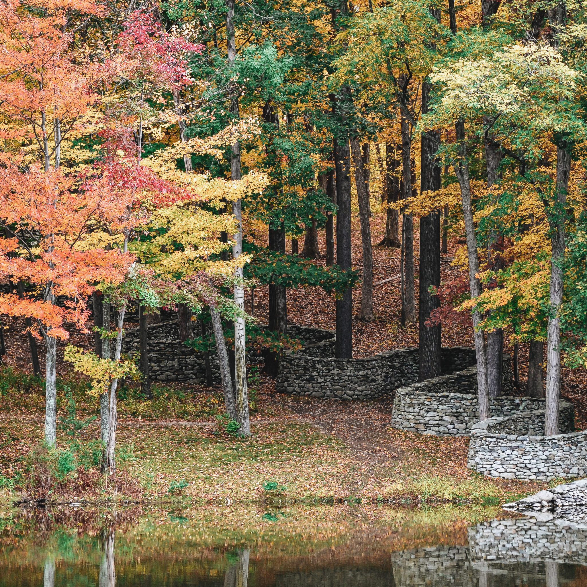 Top Tips for a Road Trip To Storm King Art Center | Fall 2022